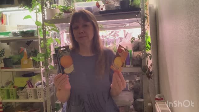 Покупки в садовых магазинах и обзор семян и рассады