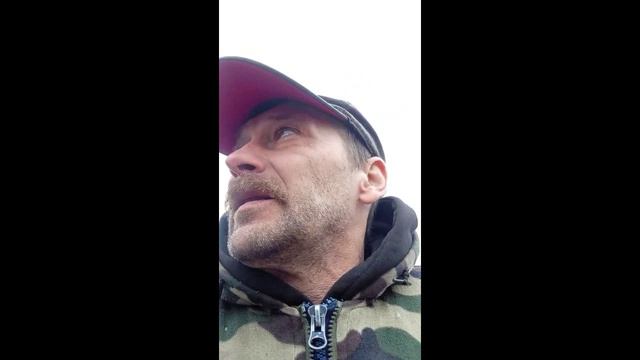 Обзор. Смотрим как вылез чеснок после зимней спячки.