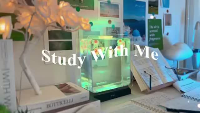 4 часа учебы 🫧 Study With Me • Pomodoro 50-10 🌊 [lofi]