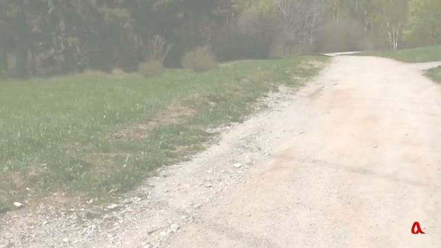 Тень и полутень