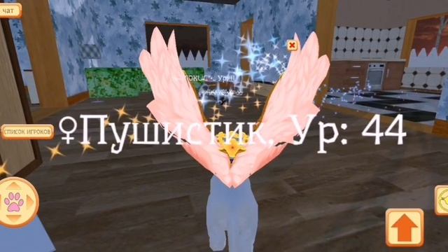 КОГДА МЕНЯ НЕ БЫЛО В Cute pocket cat 3d и вот это делает шок
