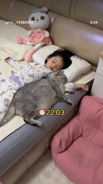 Сон с котом