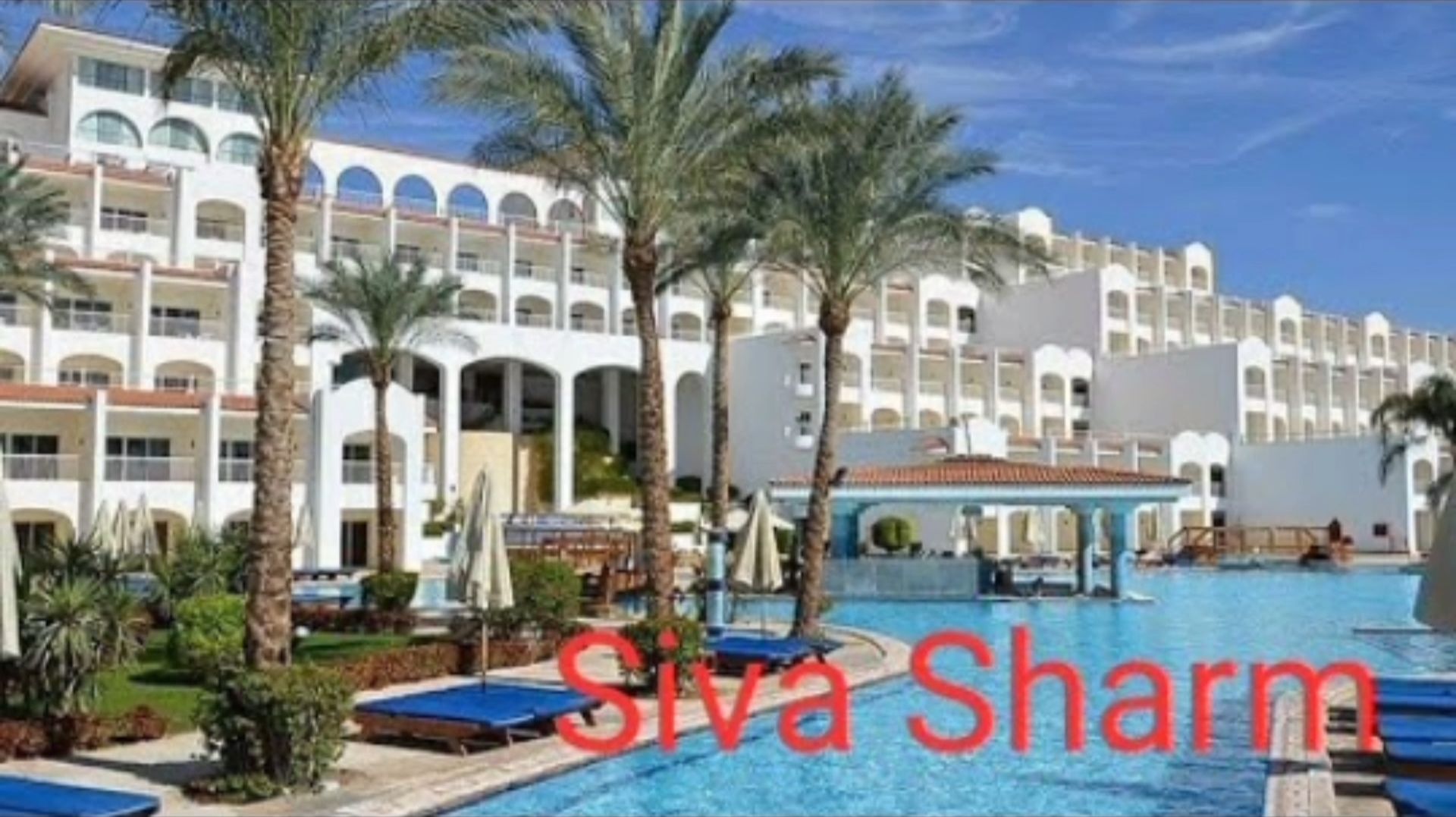 Шарм- эль- Шейх. Отель,, Siva Sharm Resort Spa ". Вечерняя анимация