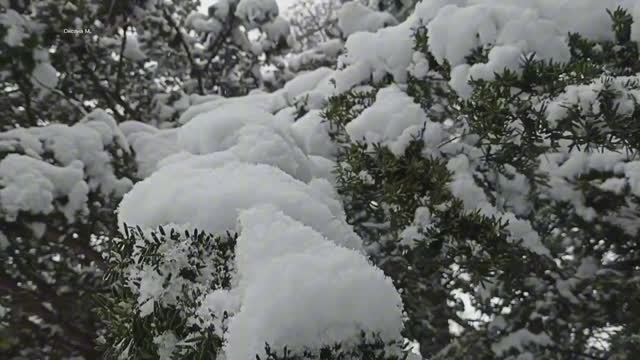 И опять наш город в снегу. 23 марта.mp4