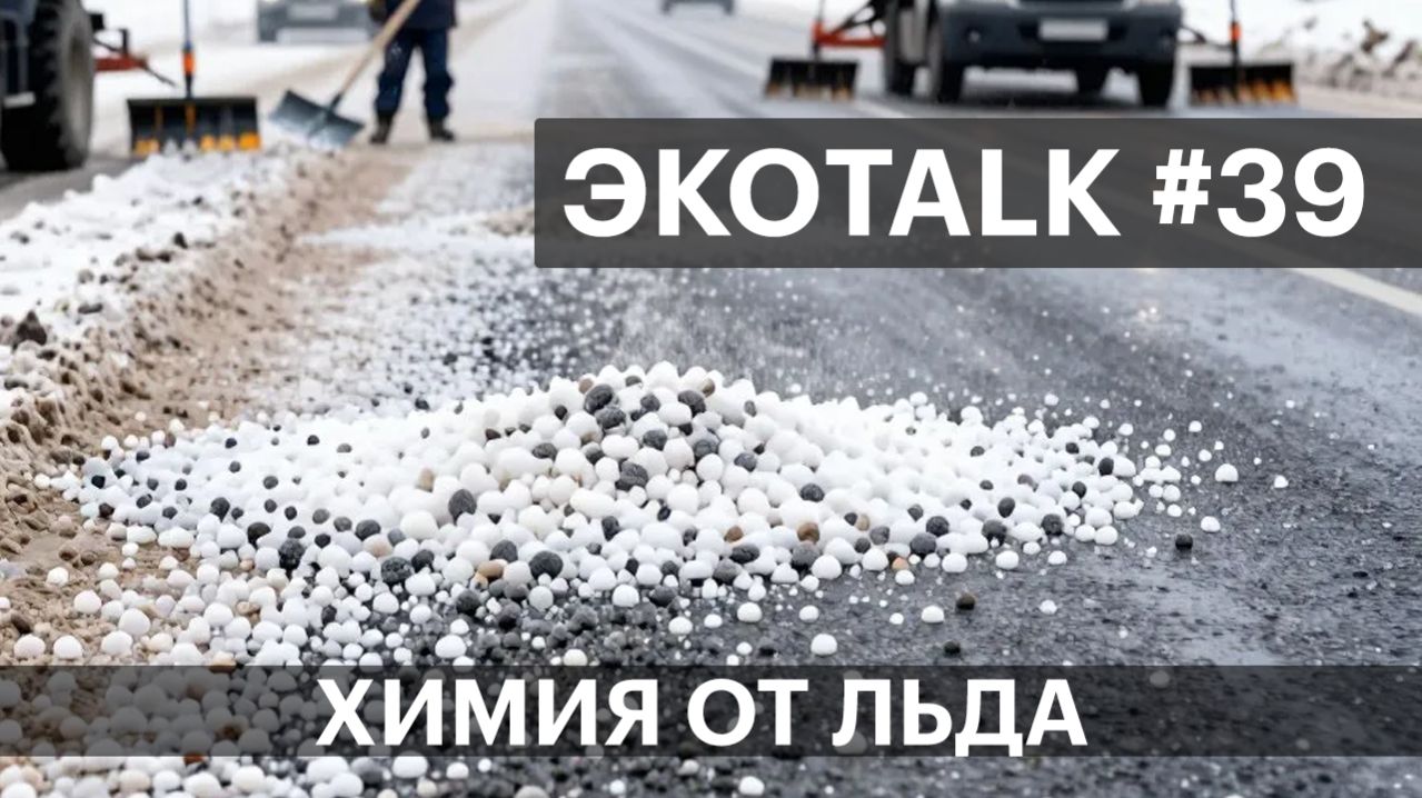 ЭкоTALK. Часть - 39