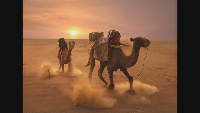 Знакомство с творчеством Weerapong Chaipuck