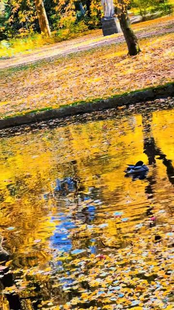 v24044gl0000d3qjktnog65l0lc8p3eg