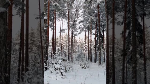 №110 Восстаовление и гармонизация структур спинного мозга