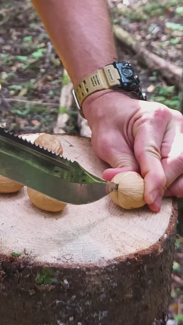 Нашел орехи в лесу и превратил их в Это!🔥 Свеча из ореха своими руками