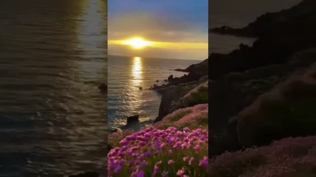 Шумят колосья земли милой.  Песня на стихи Любови Уколовой и Раисы Йилдырим