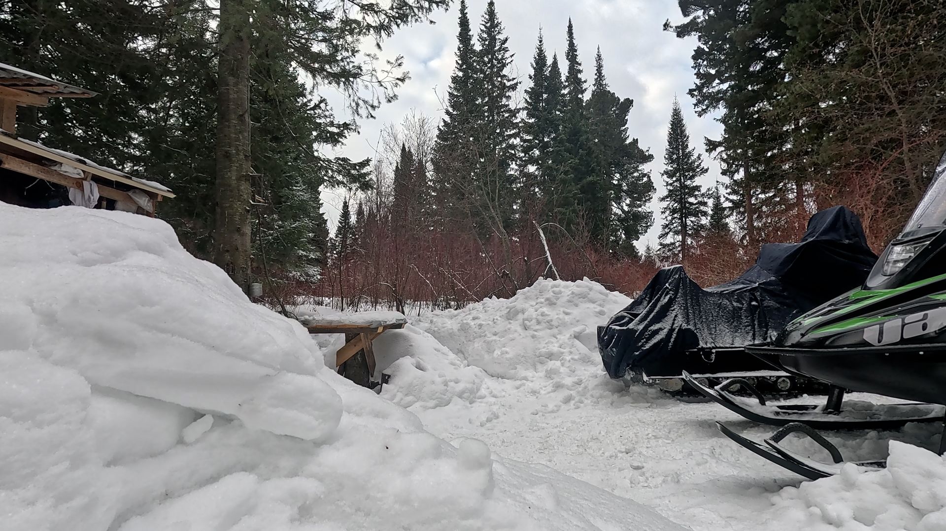 Разведка щуки. В гостях в лесной избушке.