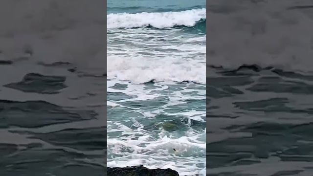 Памяти Елены Седлецкой.  Песня на стихи Любови Уколовой и Раисы Йилдырим