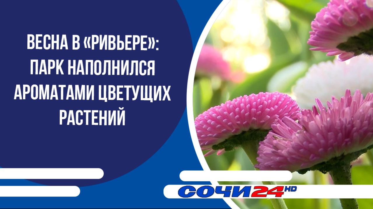 Весна в «Ривьере»: парк наполнился ароматами цветущих растений
