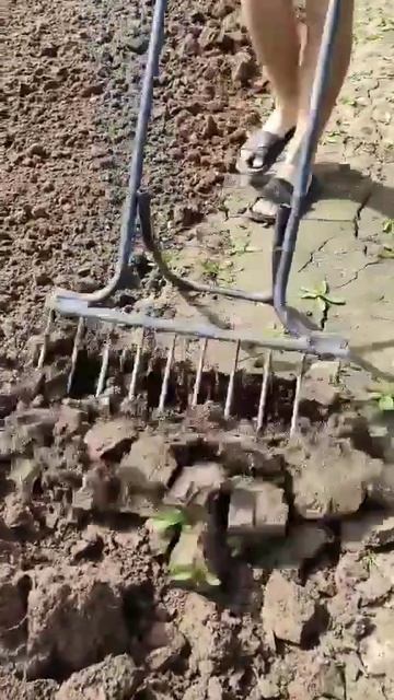 Чудо лопата рыхлитель. Отличная вещь.