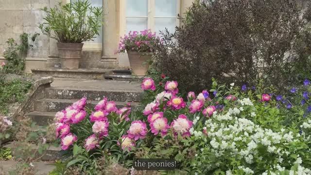 Часть 2. Котсуолдс: скрытые жемчужины — Сноушилл, Келмскотт, сады Кифтсгейт-Корт