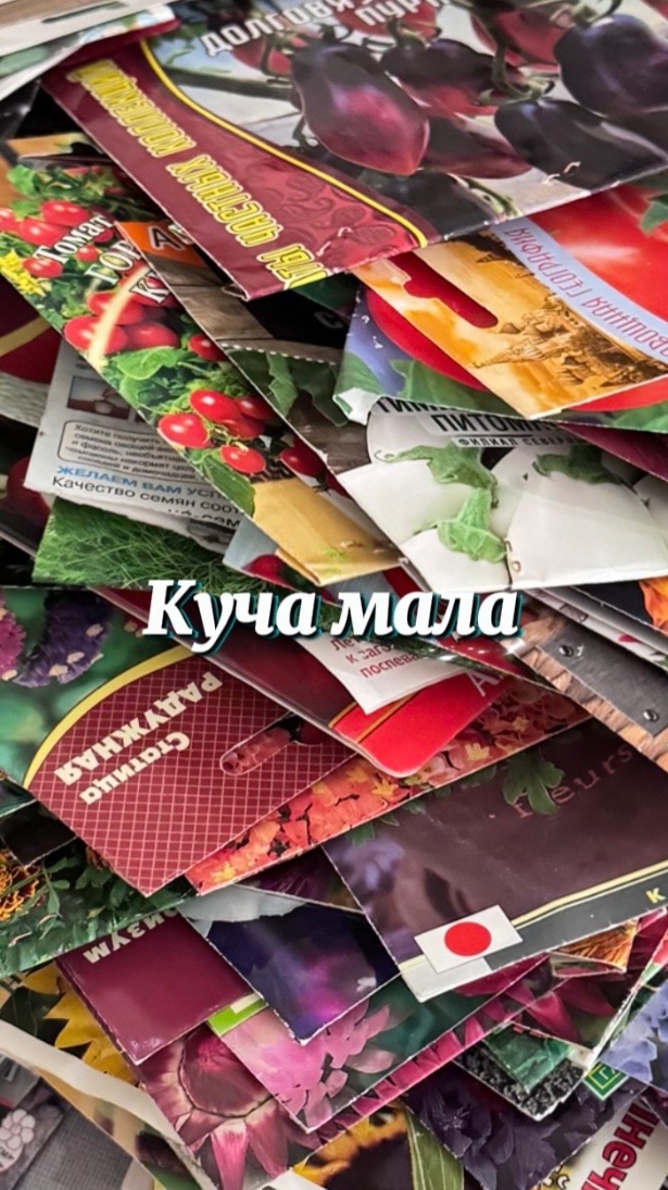 Разбираем прошлогодние семена