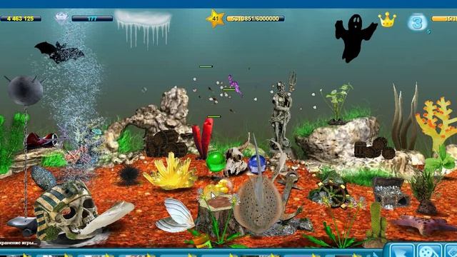 Аквариумы. День 600