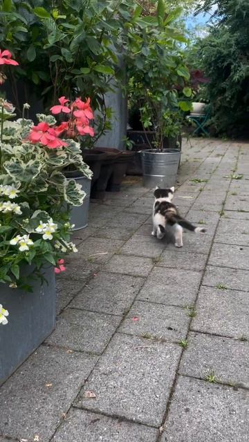 веселые моменты