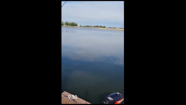 На рыбалке бывает и ТАКОЕ.подборка (4)