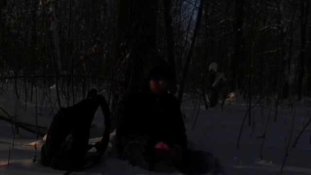 в лесу ЧАСТЬ 33