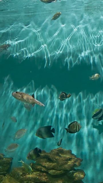 lv_7516447157293944117_20260305184024