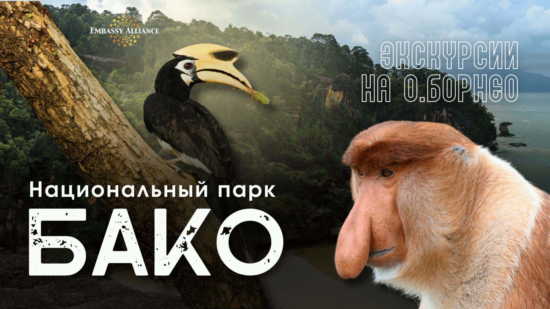 Экскурсии на острове Борнео - Национальный парк Бако