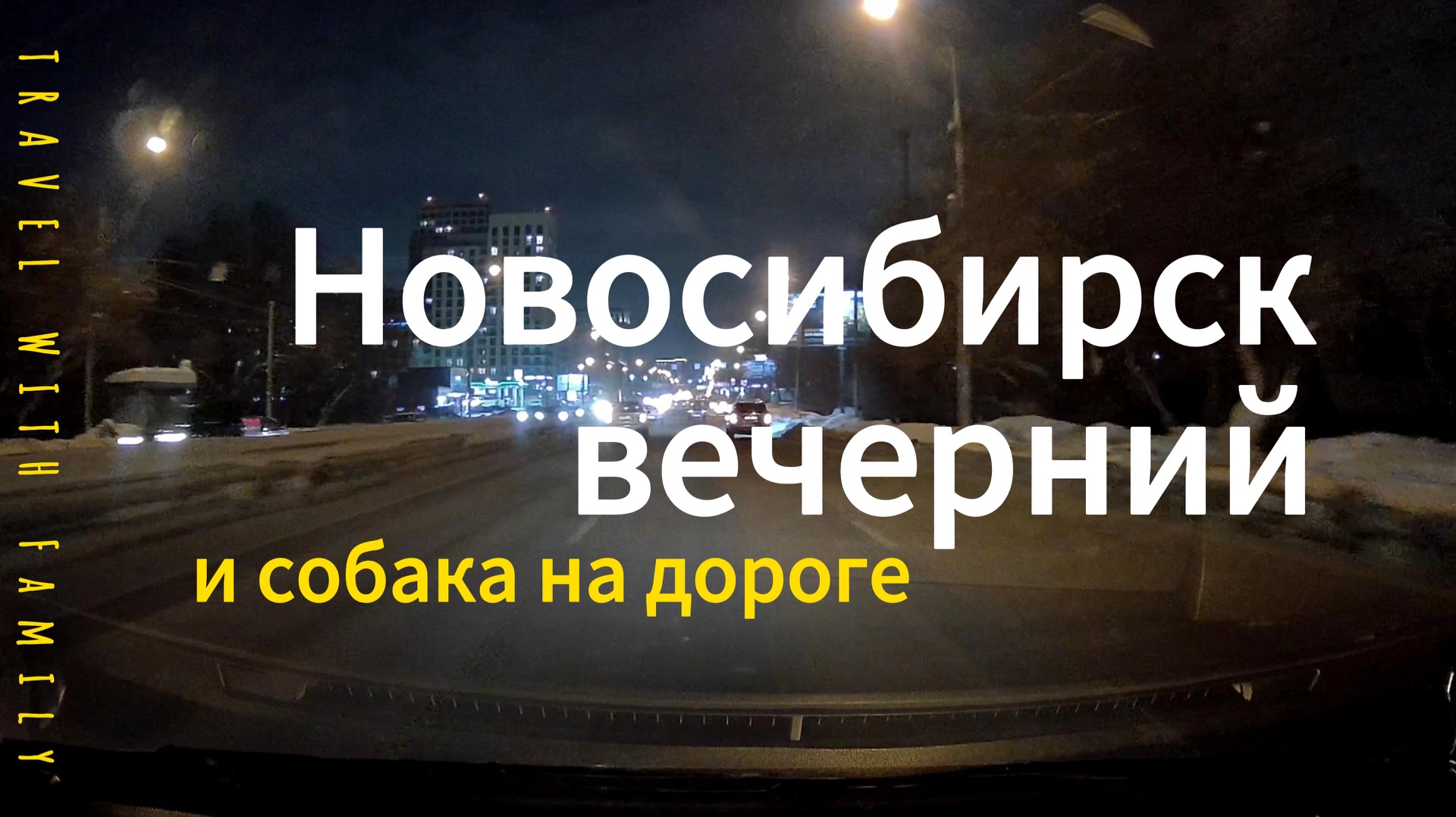 Вечерний Новосибирск и собака