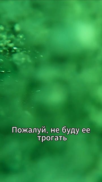 Противокорабельная мина