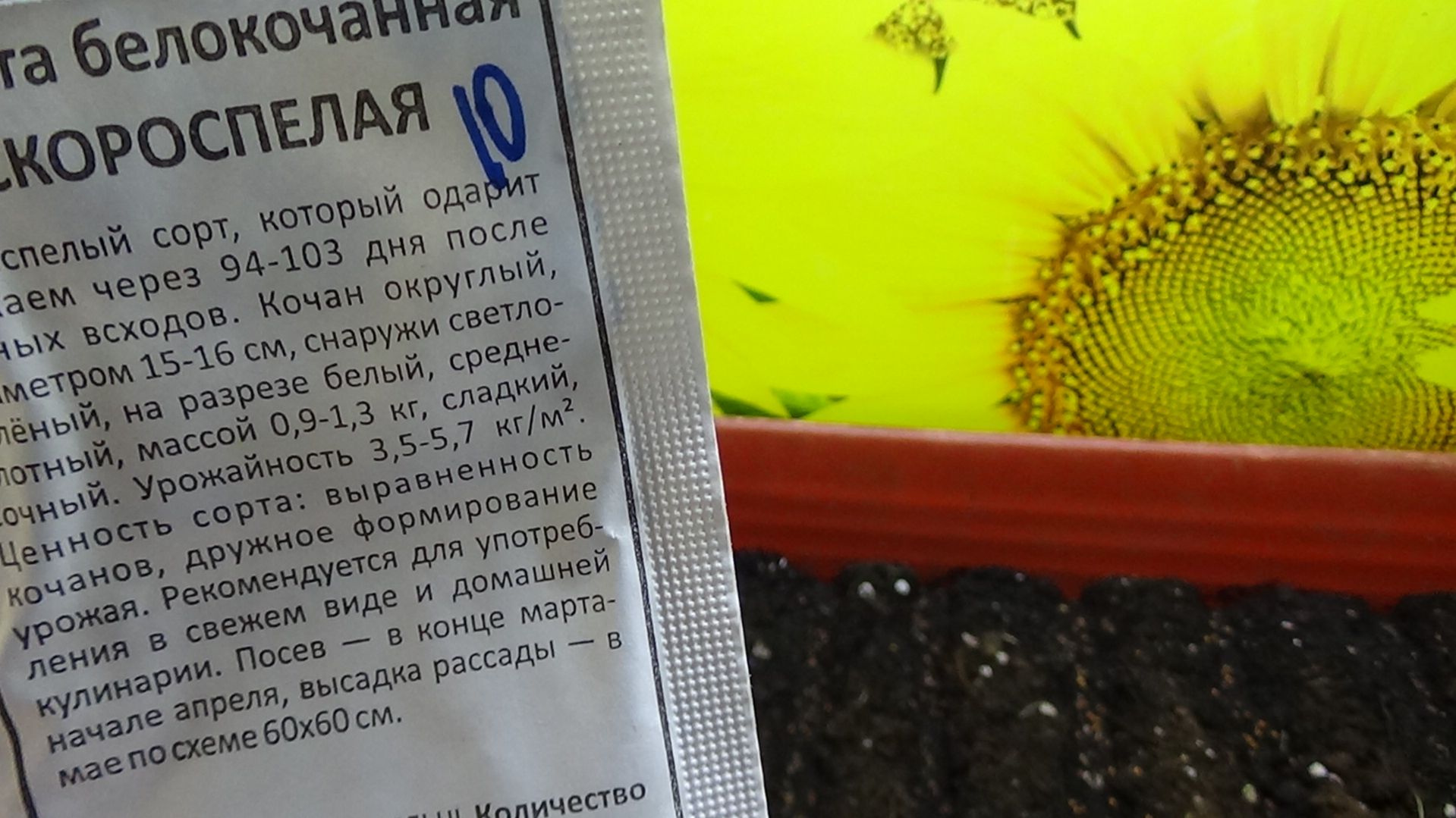 ПОСЕВЫ 2026-98. Сегодня, 23 марта посеяла капусту для получения раннего урожая.