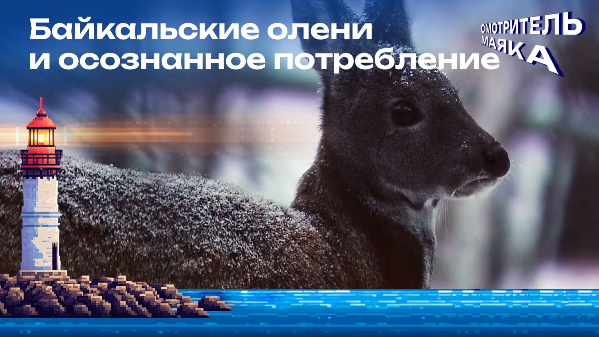 Байкальские олени и осознанное потребление | Смотритель маяка с Романом Маякиным