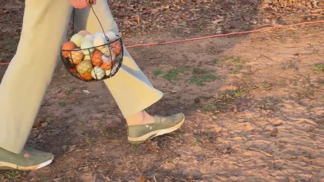 Строим новый курятник. ASMR.  Эгине