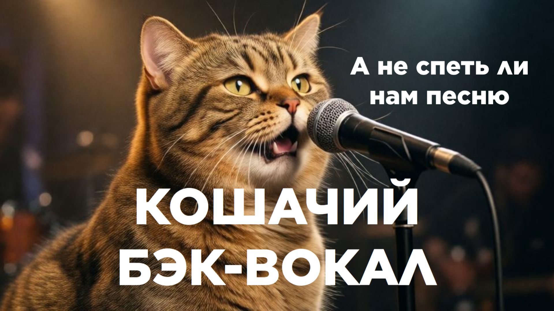 ПРИКОЛЫ С КОТАМИ.