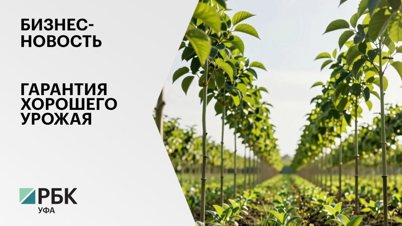 Бизнес-новость. Гарантия хорошего урожая