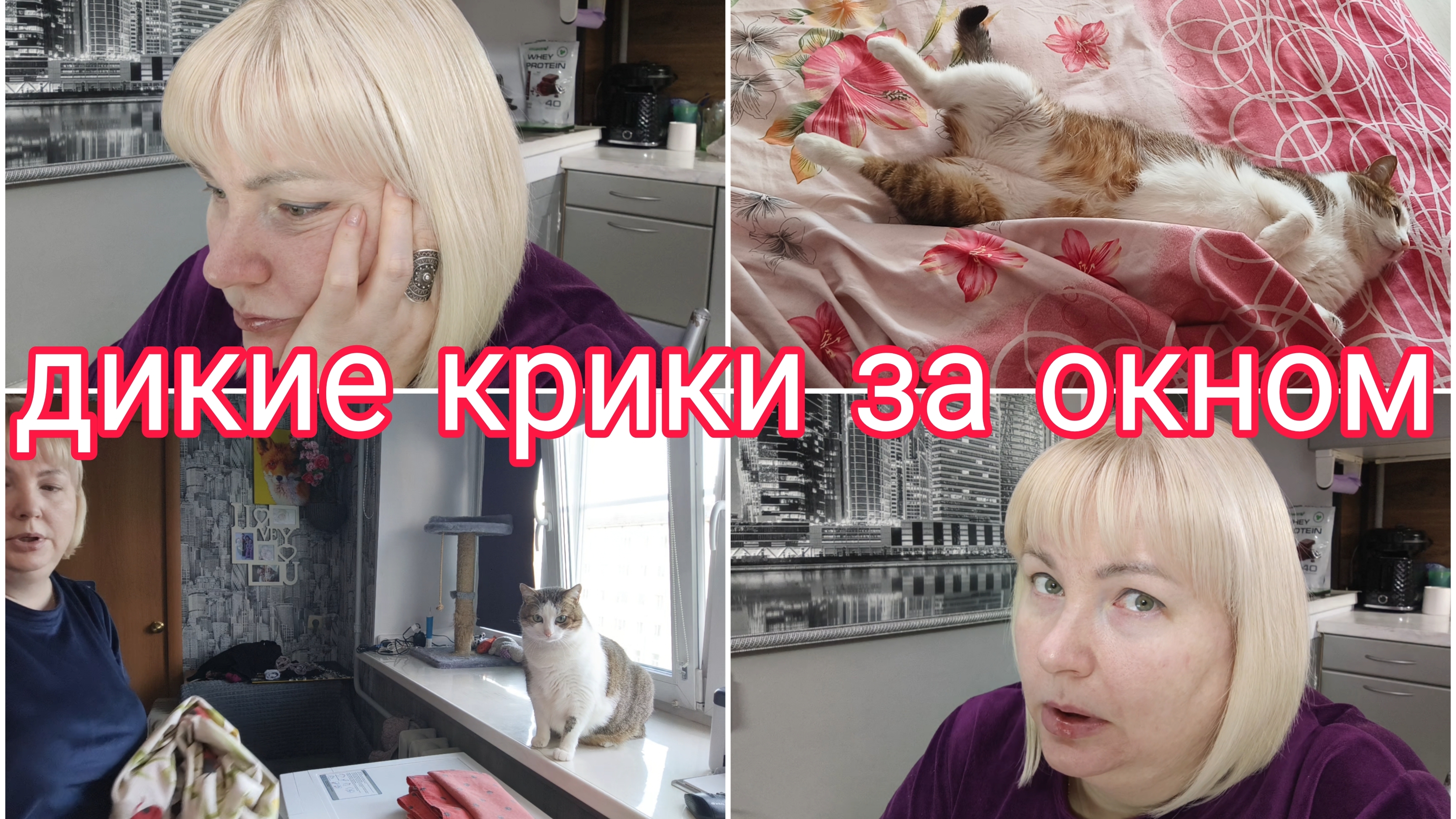 23-03-2026 Не знаю как назвать видео 🤷