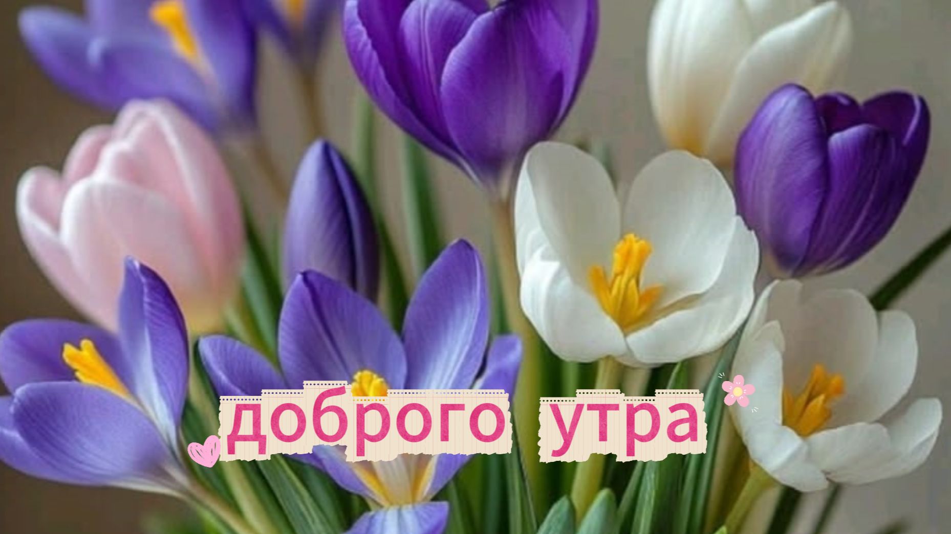 Красивые открытки с хорошими пожеланиями доброго утра 😘