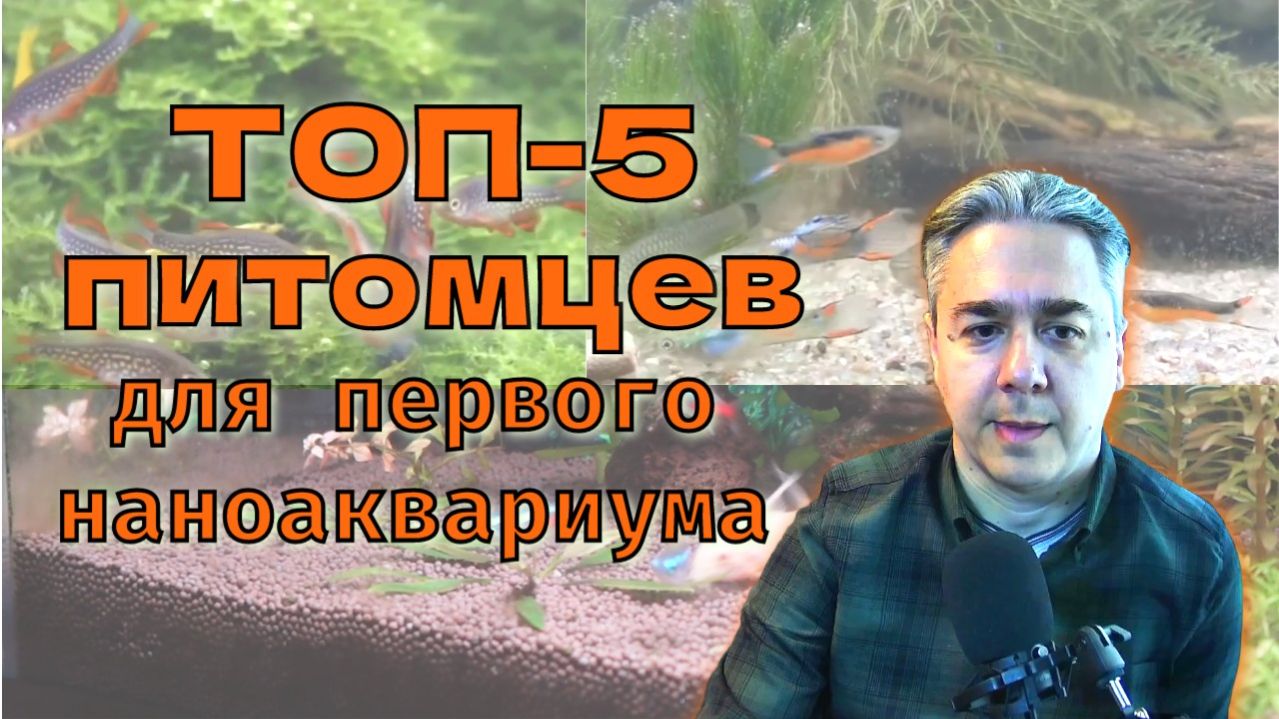 ТОП-5 питомцев для первого нано‑аквариума. Эпизод #7