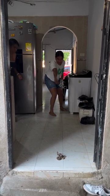 🔥 РОЗЫГРЫШ СО ЗМЕЁЙ | КЛАССИЧЕСКИЙ ПРАНК, ОТ КОТОРОГО ВСЕ ПАДАЮТ! 🔥