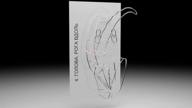 Оживим металл! Чертеж горного козла — 3D Wire Art