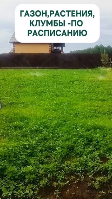 Надоело таскать шланг по участку ? Автополив все сделает сам.