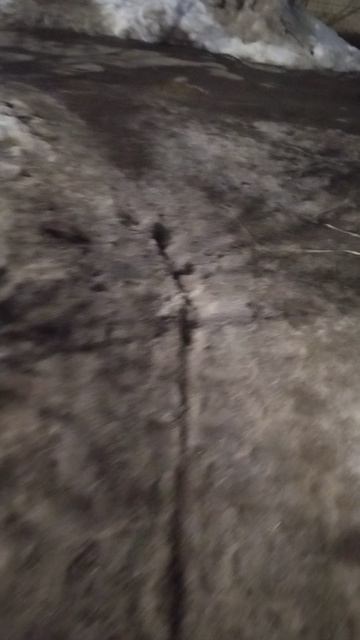 №1854 ул. Красноармейская 1-я. 22 марта 2026 г., 20:54:41 VID_20260322_205340649