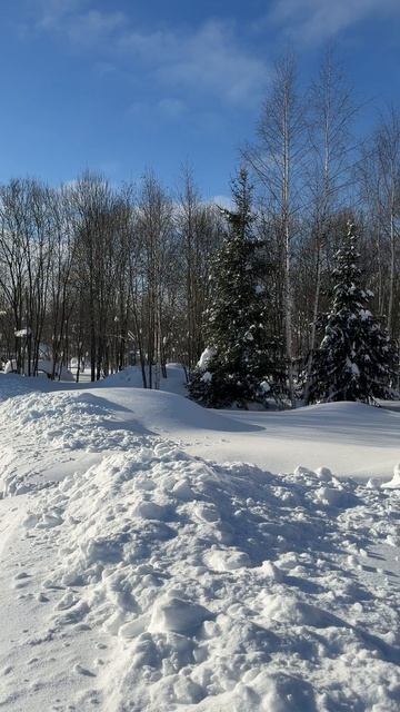 Новый дом без отделки и баня с коммуникациями, 28 соток в ДПК Лесные дали Александровский район.