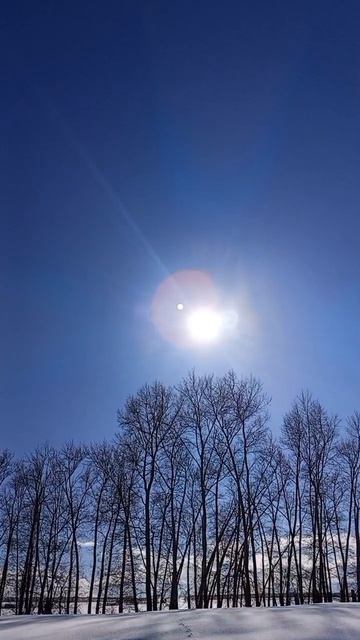 🌞 Погода шепчет 😍 солнечный денёк , лучики душевных струн 🥰 (24.03.26г)