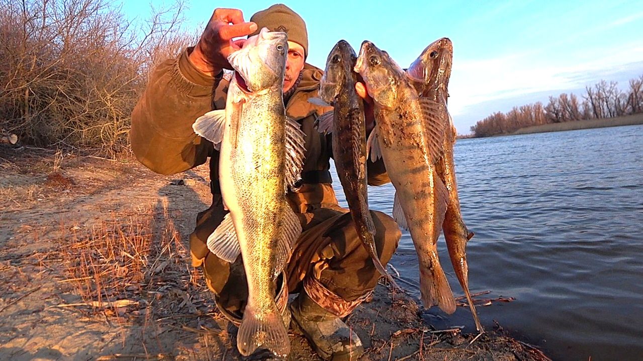 Удар - И ОНО СОГНУЛО!! РЫБАЛКА НА СПИННИНГ ВЕСНОЙ - СУДАК НА ДЖИГ 2026