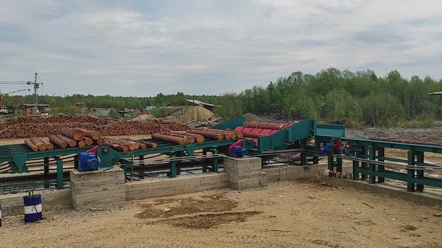 Линия сортировки бревен AXEL-RLS в Февральске