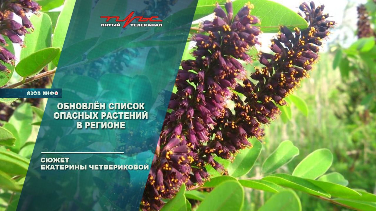 Обновлён список опасных растений в регионе