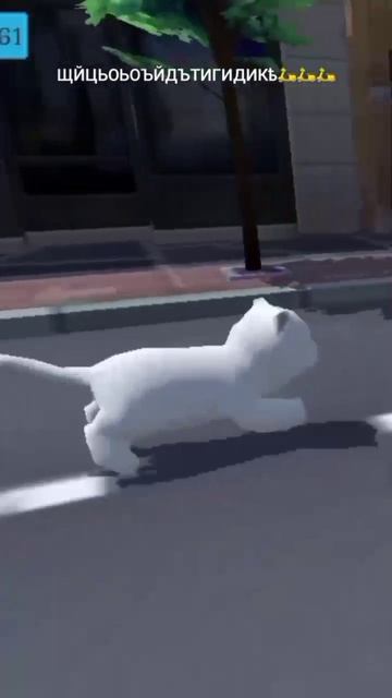 Когда сказали то что завтра будет стрим сходки в Cute Pocket Cat 3D я: