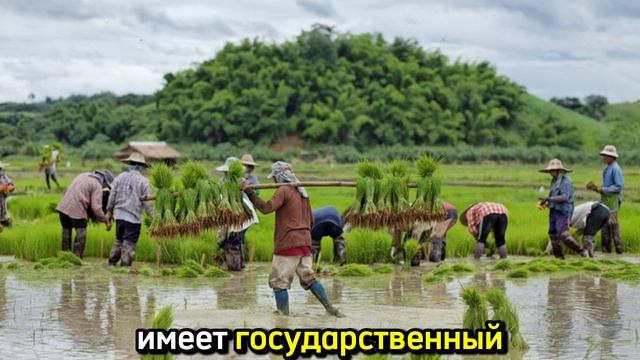 Долг России перед Тайландом