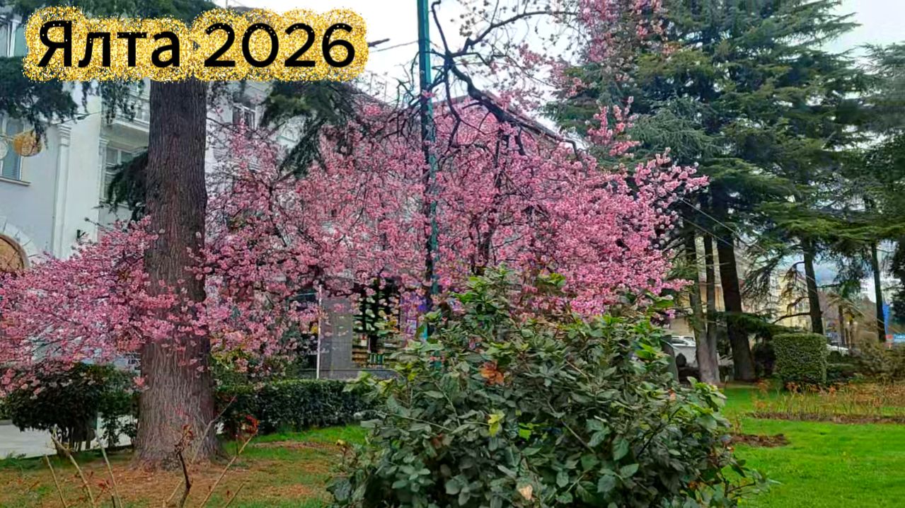 Крым расцветает.Набережная Ялты.Море сегодня 24 марта 2026