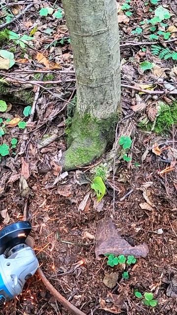 Забрать всё