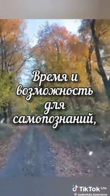 Мудро об одиночестве